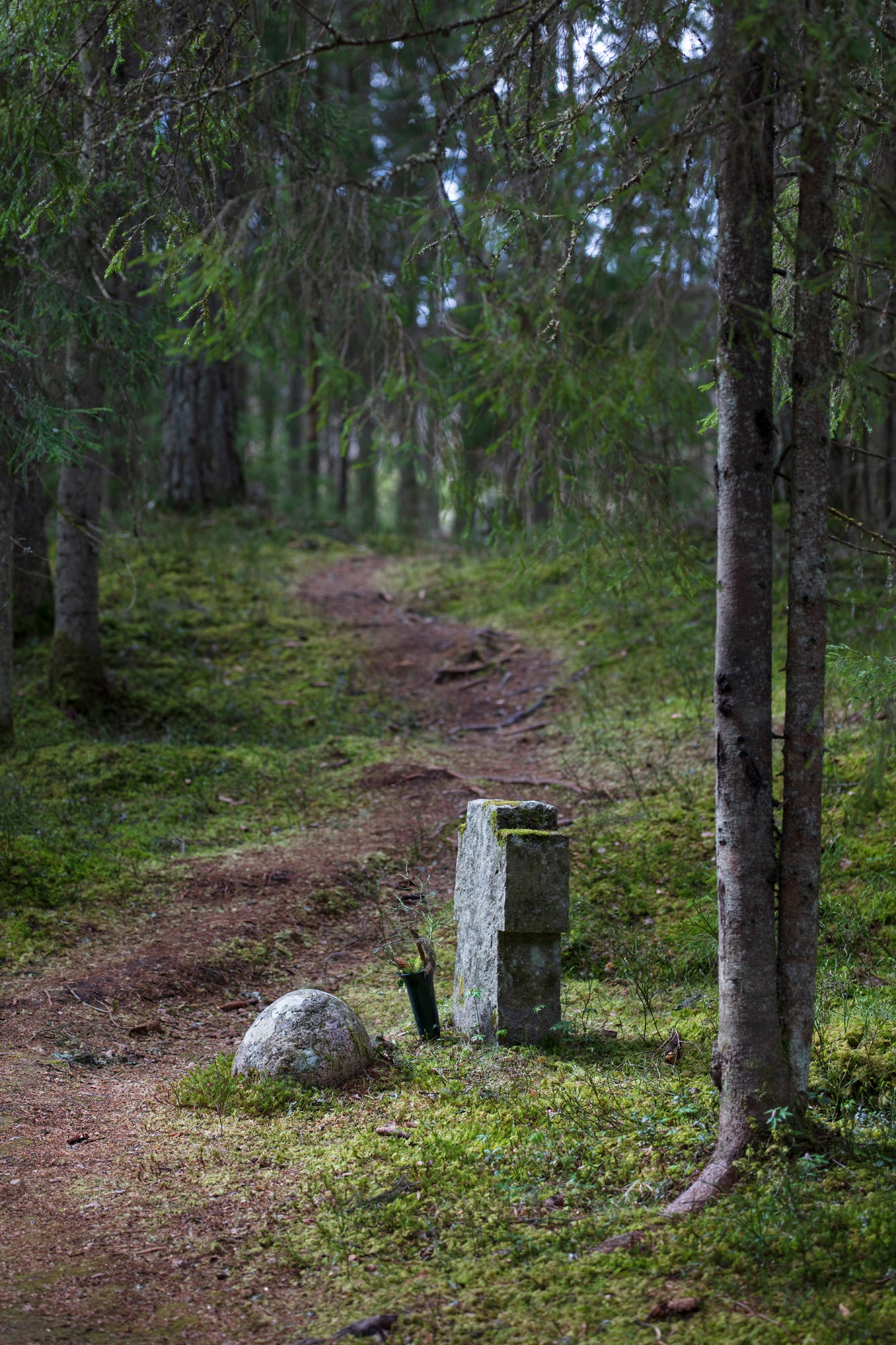 Krigsminnet Trandumskogen fredet - Riksantikvaren